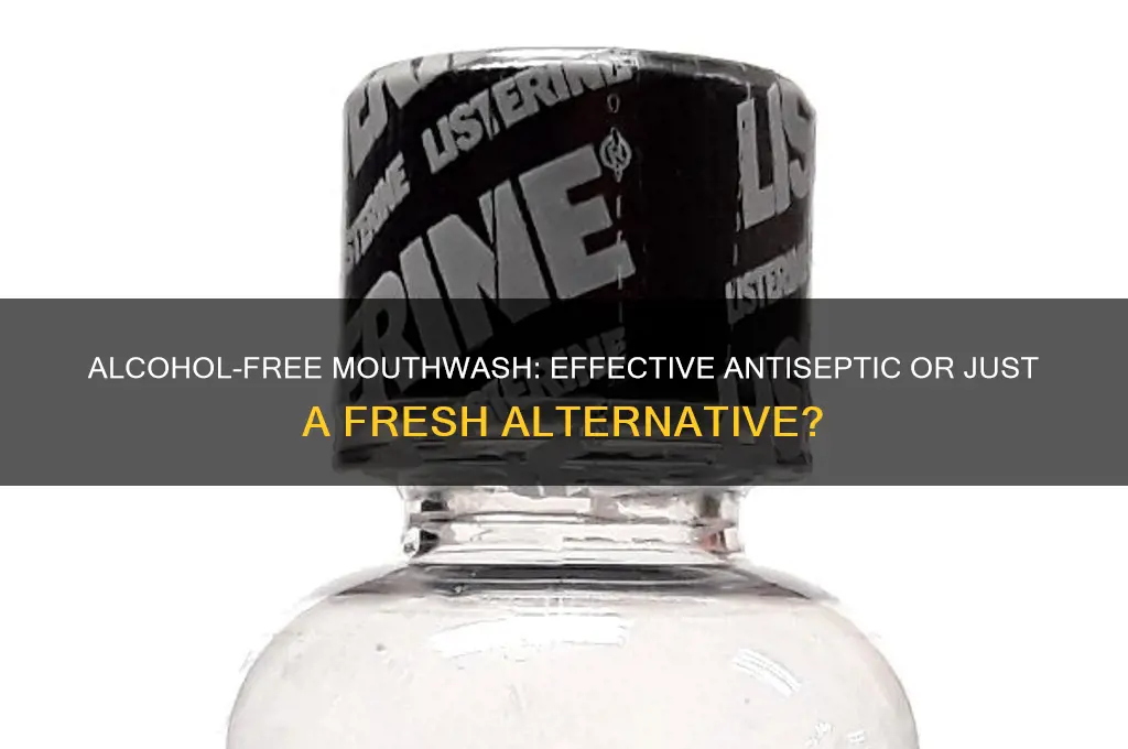 Alcohol-Free Mouthwash: Effective Antiseptic Or Just A Fresh ...
