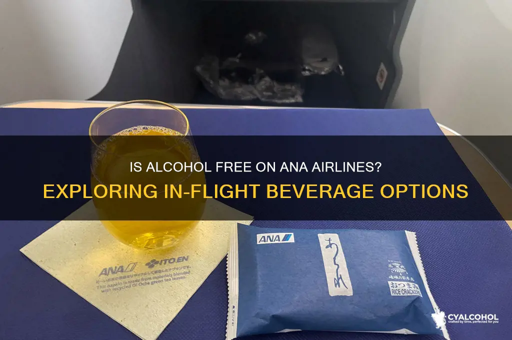 Is Alcohol Free On Ana Airlines? Exploring In-Flight Beverage Options ...