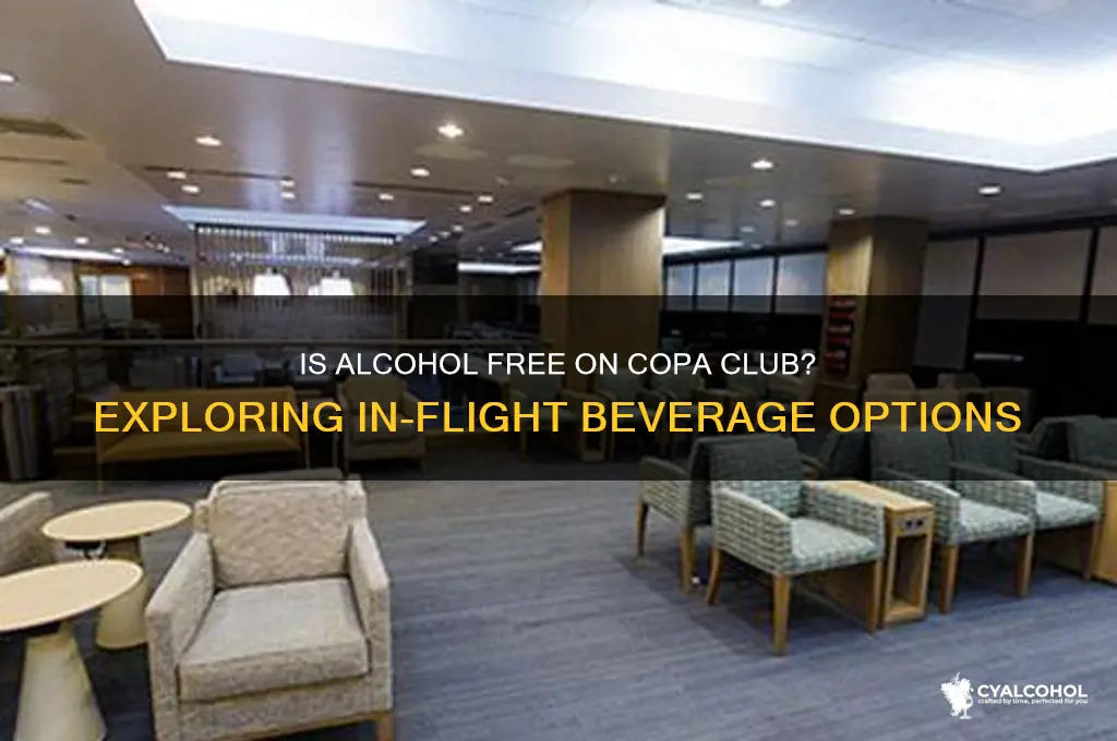 Is Alcohol Free On Copa Club? Exploring In-Flight Beverage Options ...