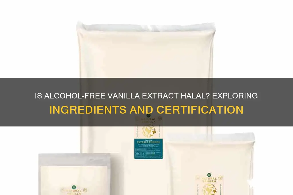Is Alcohol-Free Vanilla Extract Halal? Exploring Ingredients And ...