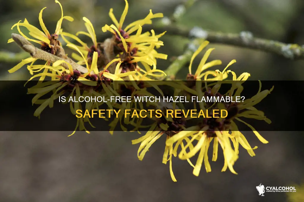 Is Alcohol-Free Witch Hazel Flammable? Safety Facts Revealed | CyAlcohol