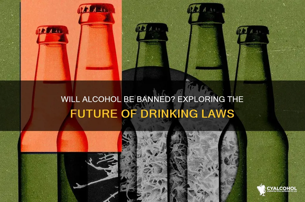 Will Alcohol Be Banned? Exploring The Future Of Drinking Laws | CyAlcohol