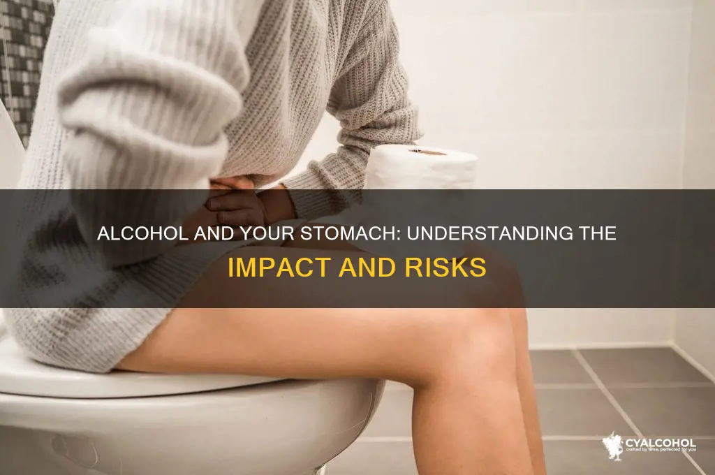Alcohol And Your Stomach: Understanding The Impact And Risks | CyAlcohol