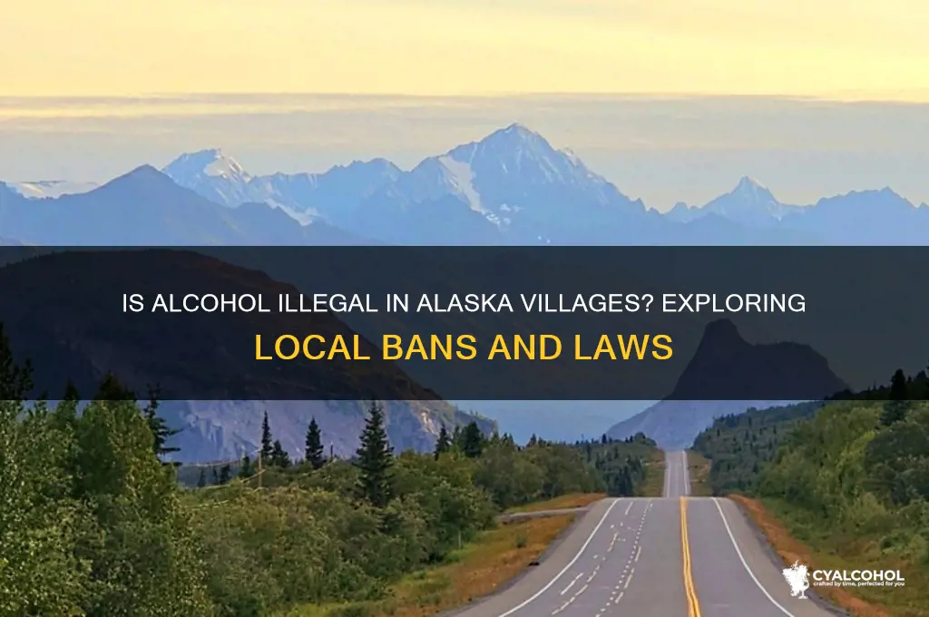 Is Alcohol Illegal In Alaska Villages? Exploring Local Bans And Laws ...