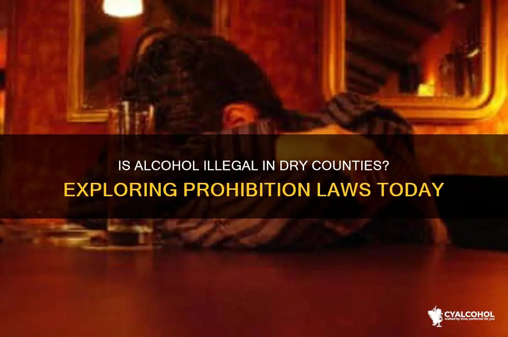 Is Alcohol Illegal In Dry Counties? Exploring Prohibition Laws Today ...