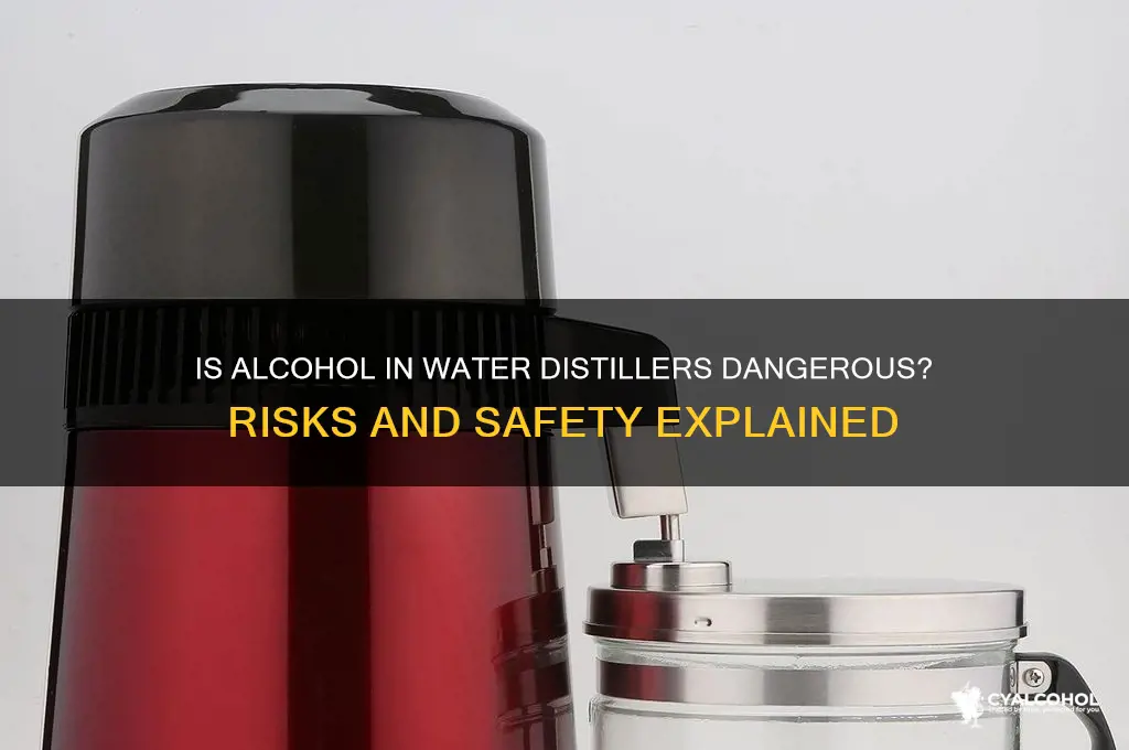 Is Alcohol In Water Distillers Dangerous? Risks And Safety Explained ...
