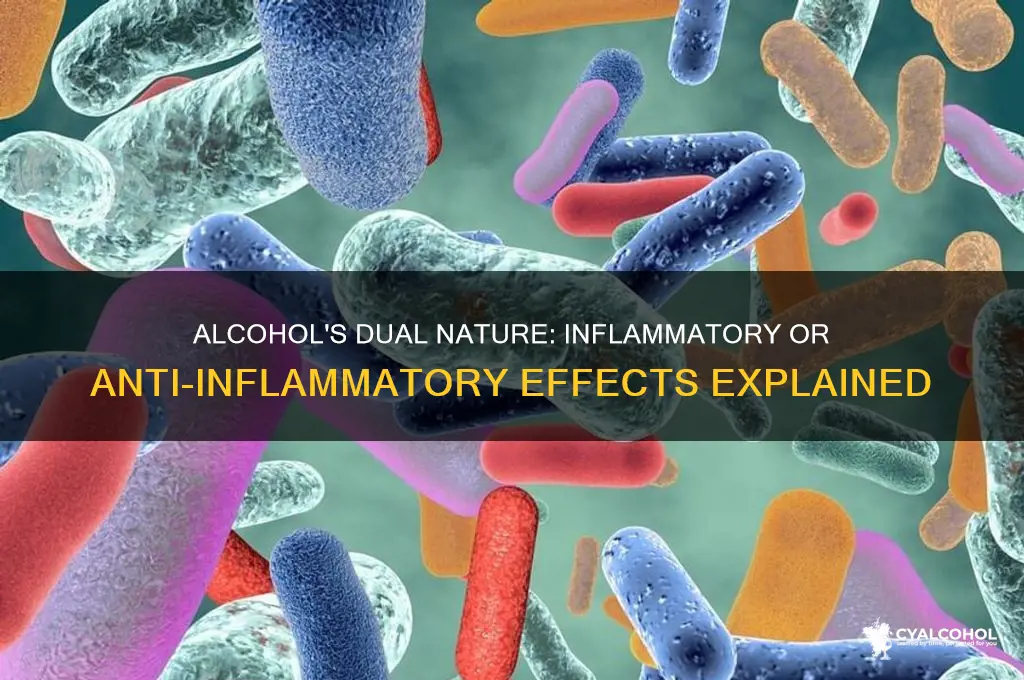 Alcohol's Dual Nature: Inflammatory Or Anti-Inflammatory Effects ...