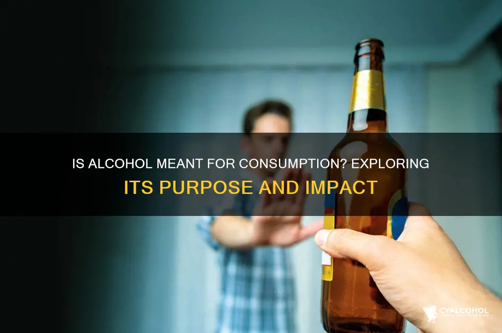 Is Alcohol Meant For Consumption? Exploring Its Purpose And Impact ...