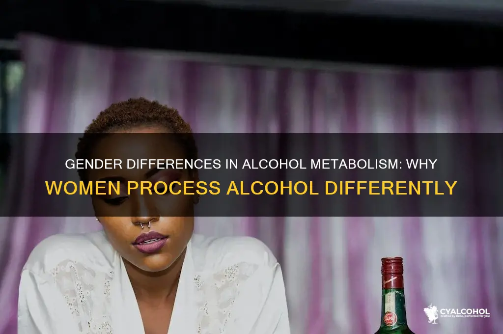 Gender Differences In Alcohol Metabolism: Why Women Process Alcohol ...