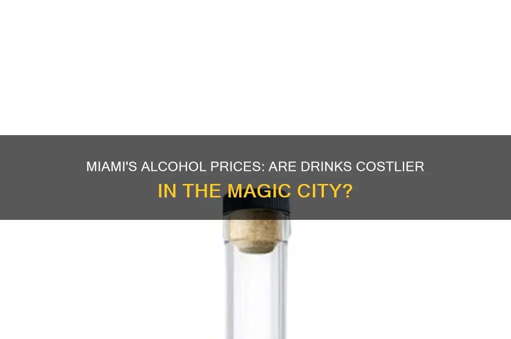Miami's Alcohol Prices: Are Drinks Costlier In The Magic City? | CyAlcohol