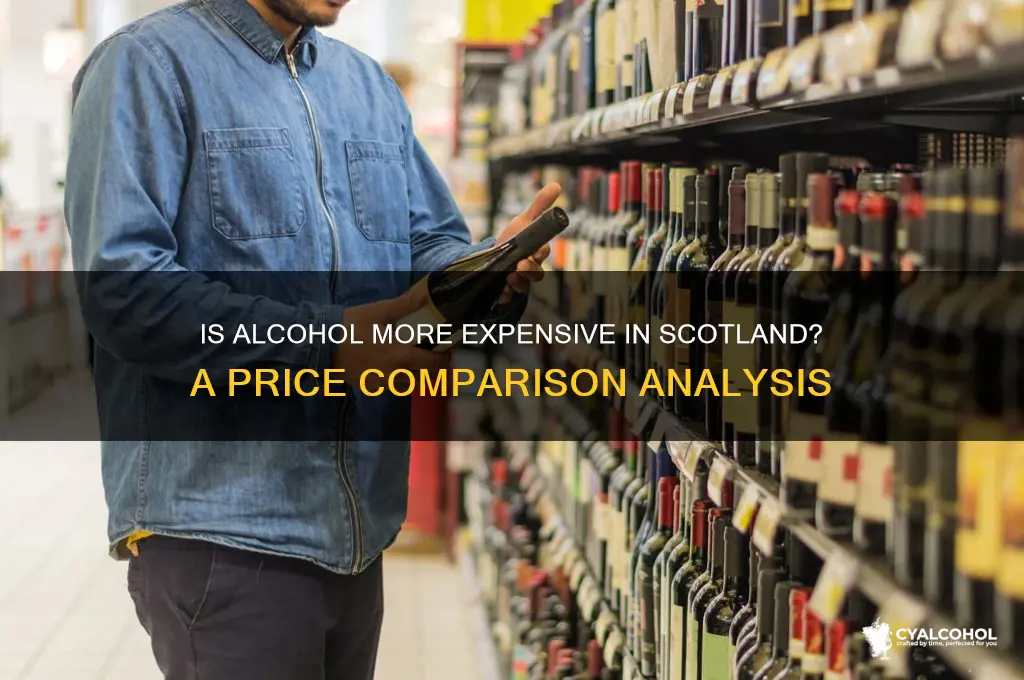 Is Alcohol More Expensive In Scotland? A Price Comparison Analysis ...