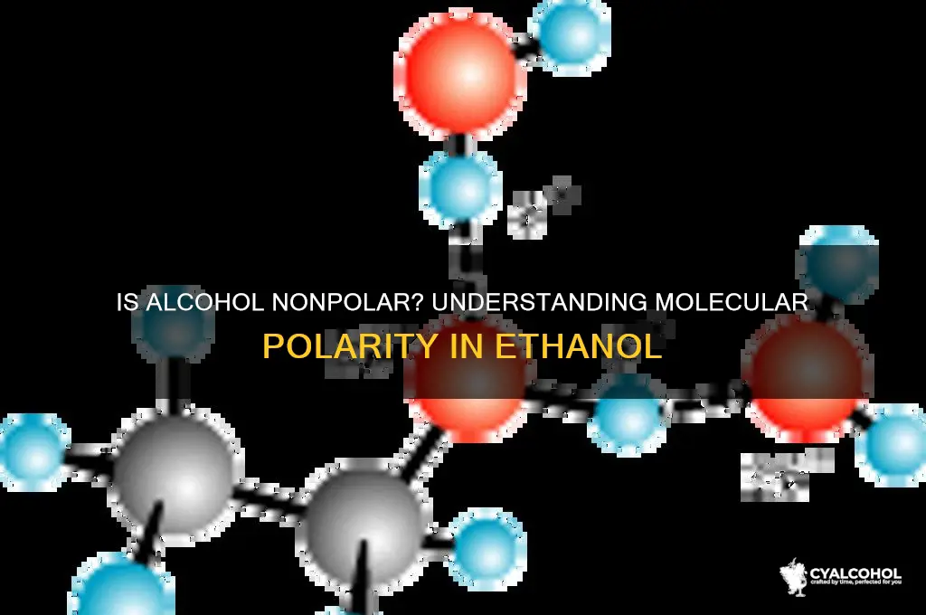 Is Alcohol Nonpolar? Understanding Molecular Polarity In Ethanol ...