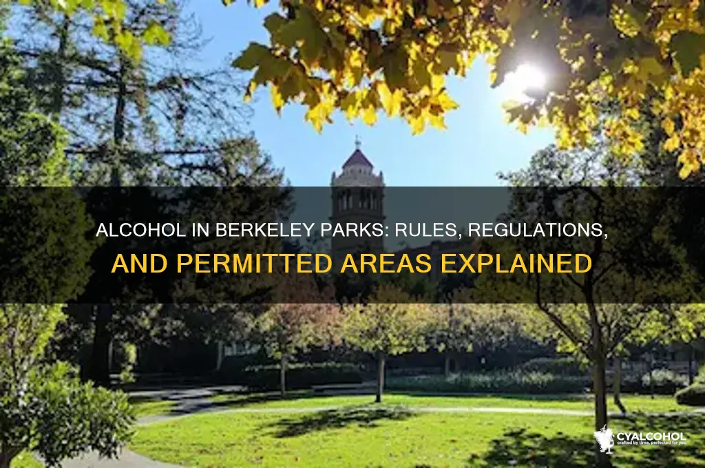 Alcohol In Berkeley Parks: Rules, Regulations, And Permitted Areas ...