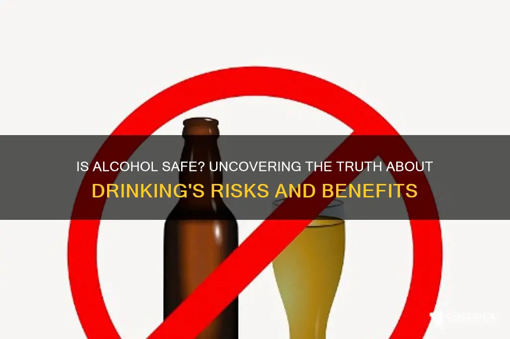 Is Alcohol Safe? Uncovering The Truth About Drinking's Risks And ...