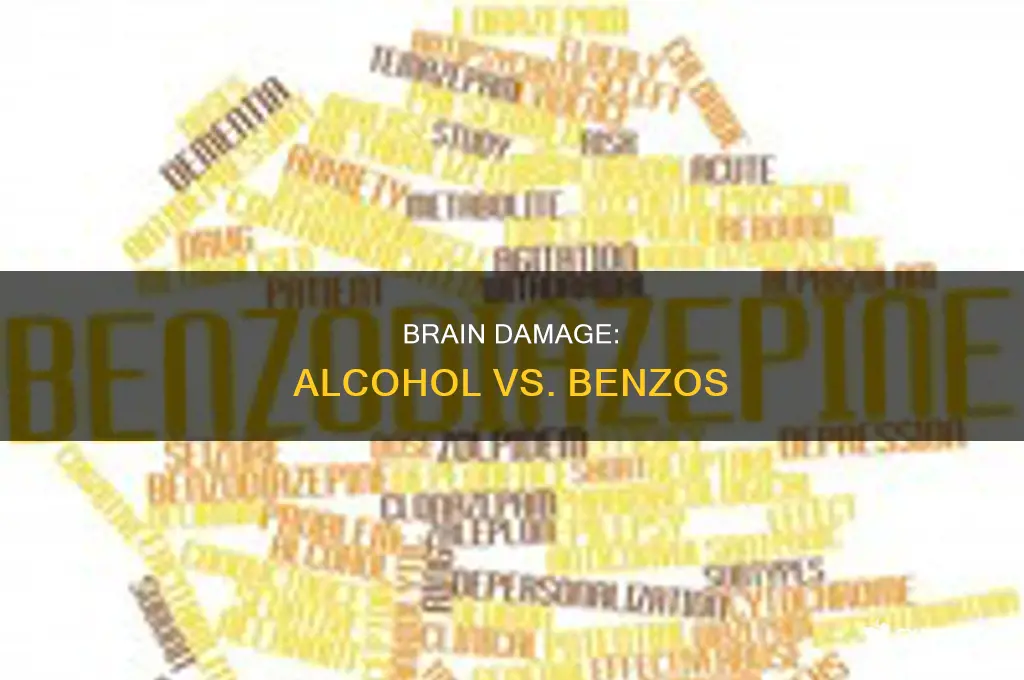 Brain Damage: Alcohol Vs. Benzos | CyAlcohol