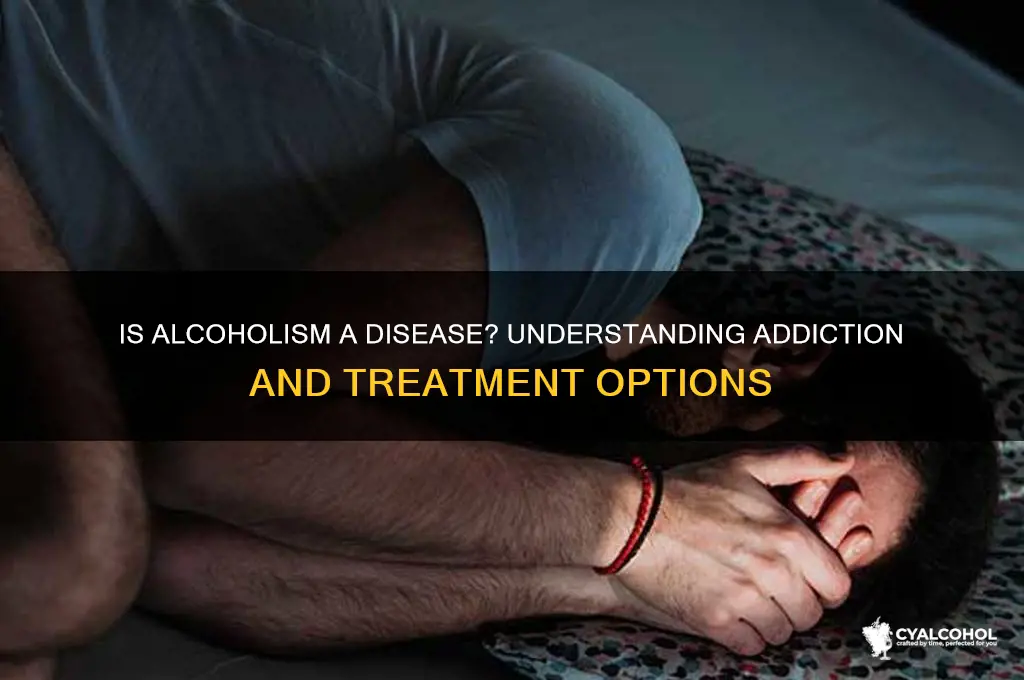 Is Alcoholism A Disease? Understanding Addiction And Treatment Options ...