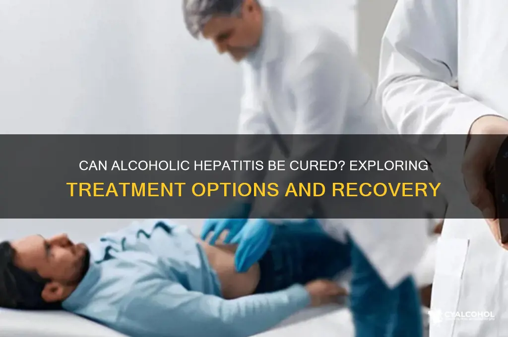 Can Alcoholic Hepatitis Be Cured? Exploring Treatment Options And ...