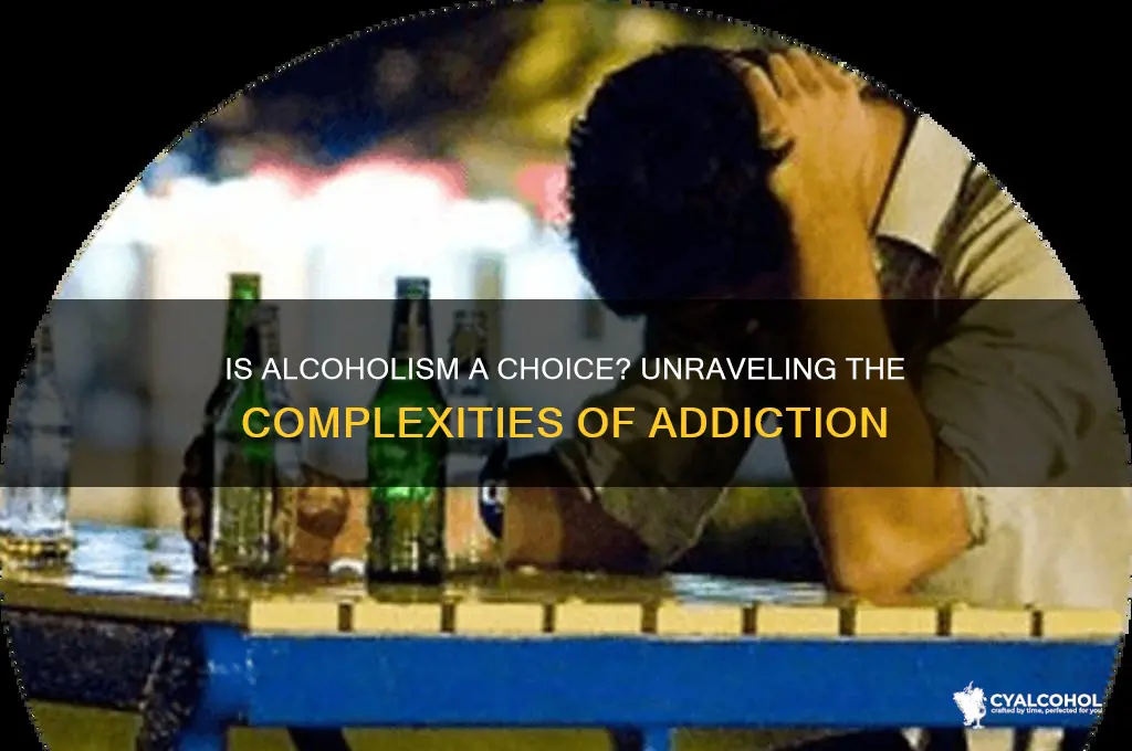 Is Alcoholism A Choice? Unraveling The Complexities Of Addiction ...