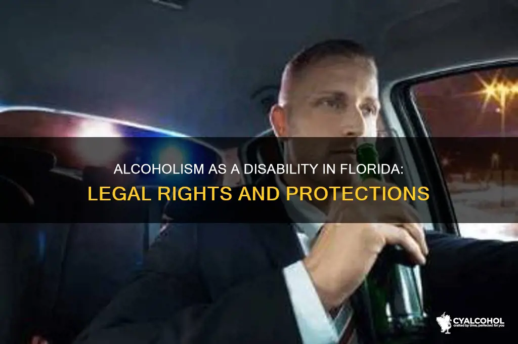 Alcoholism As A Disability In Florida: Legal Rights And Protections ...
