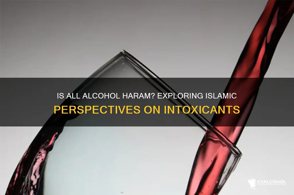 Is All Alcohol Haram? Exploring Islamic Perspectives On Intoxicants ...