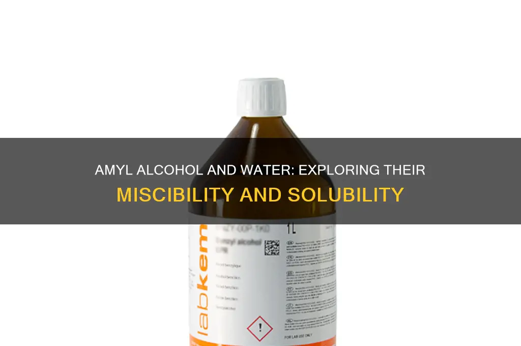 Amyl Alcohol And Water: Exploring Their Miscibility And Solubility ...