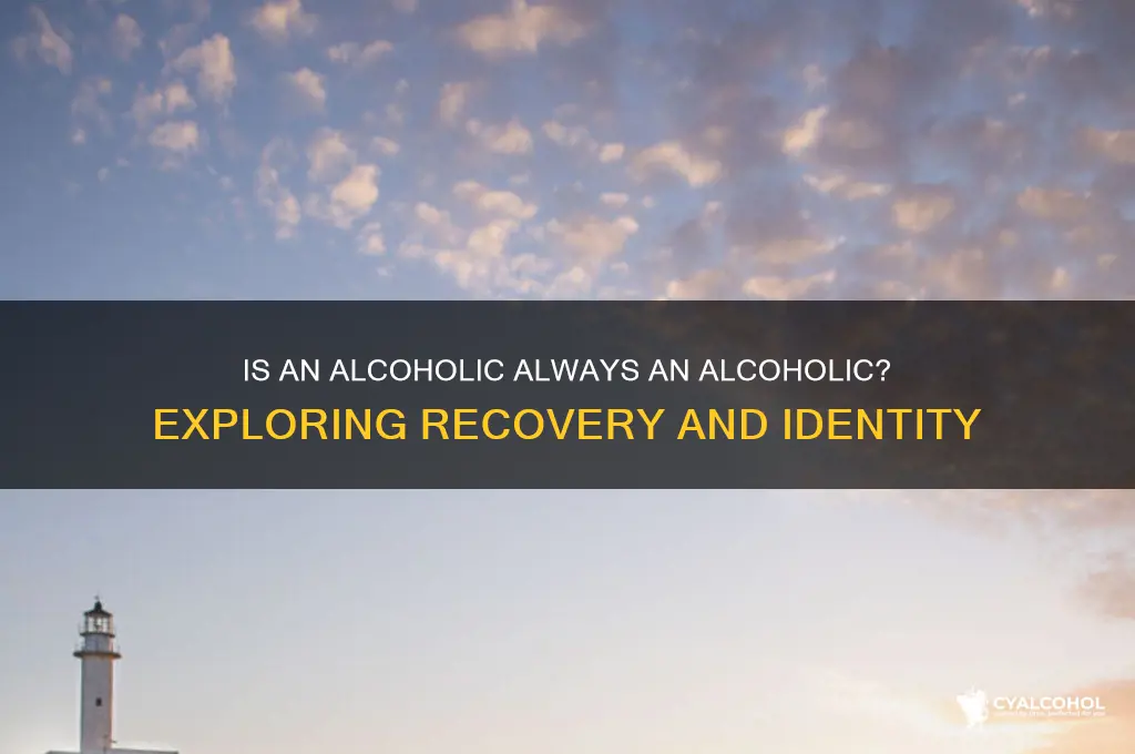 Is An Alcoholic Always An Alcoholic? Exploring Recovery And Identity ...