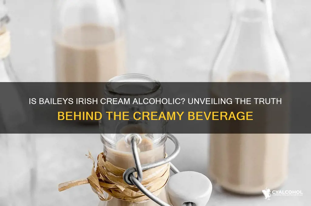 Is Baileys Irish Cream Alcoholic? Unveiling The Truth Behind The Creamy ...