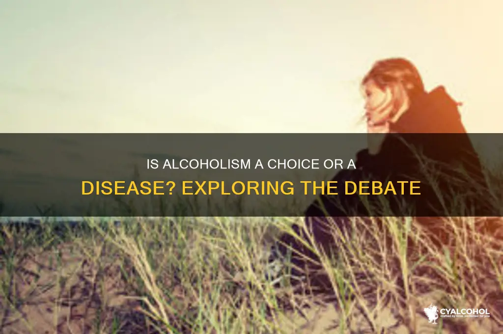 Is Alcoholism A Choice Or A Disease? Exploring The Debate | CyAlcohol