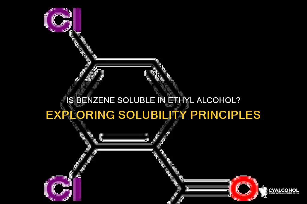Is Benzene Soluble In Ethyl Alcohol? Exploring Solubility Principles ...