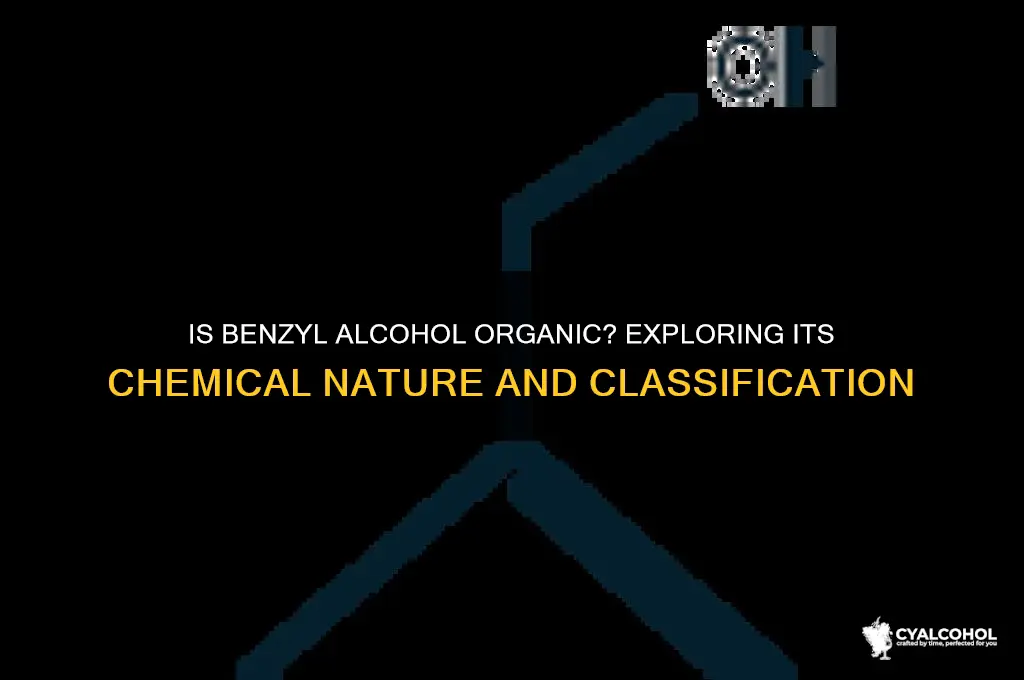 Is Benzyl Alcohol Organic? Exploring Its Chemical Nature And ...