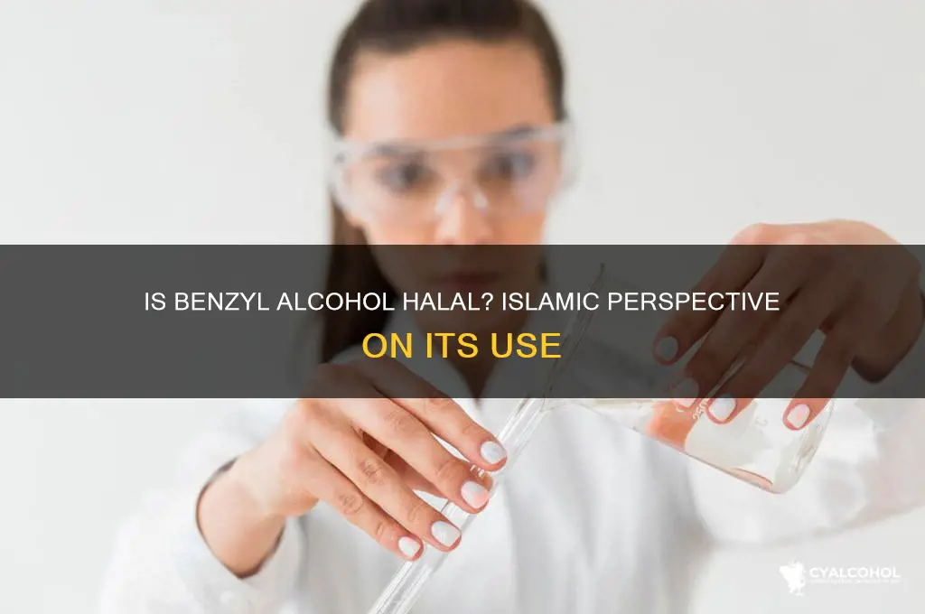Is Benzyl Alcohol Halal? Islamic Perspective On Its Use | CyAlcohol