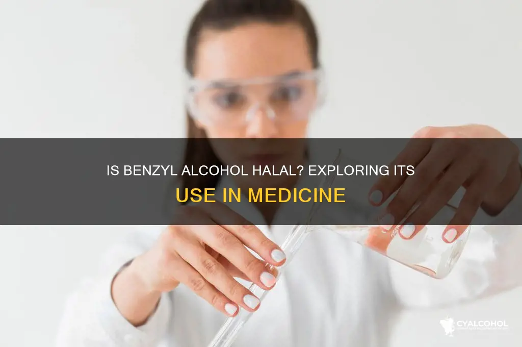 Is Benzyl Alcohol Halal? Exploring Its Use In Medicine | CyAlcohol