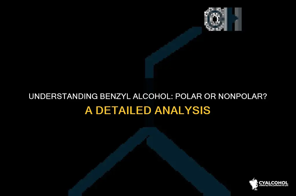 Understanding Benzyl Alcohol: Polar Or Nonpolar? A Detailed Analysis ...