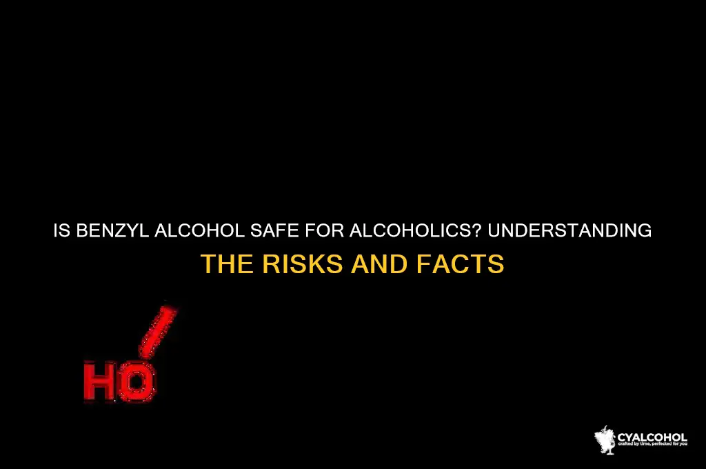 Is Benzyl Alcohol Safe For Alcoholics? Understanding The Risks And ...