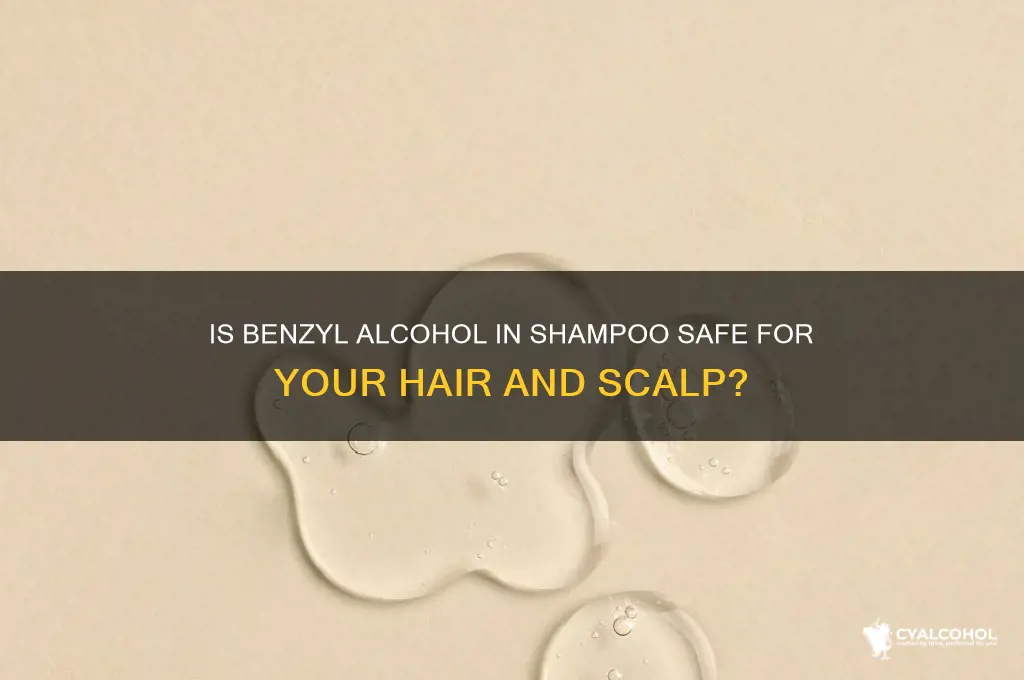 Is Benzyl Alcohol In Shampoo Safe For Your Hair And Scalp? | CyAlcohol
