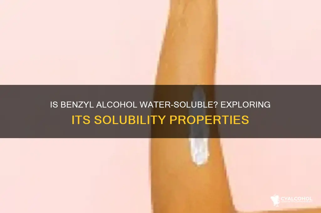 Is Benzyl Alcohol Water-Soluble? Exploring Its Solubility Properties ...