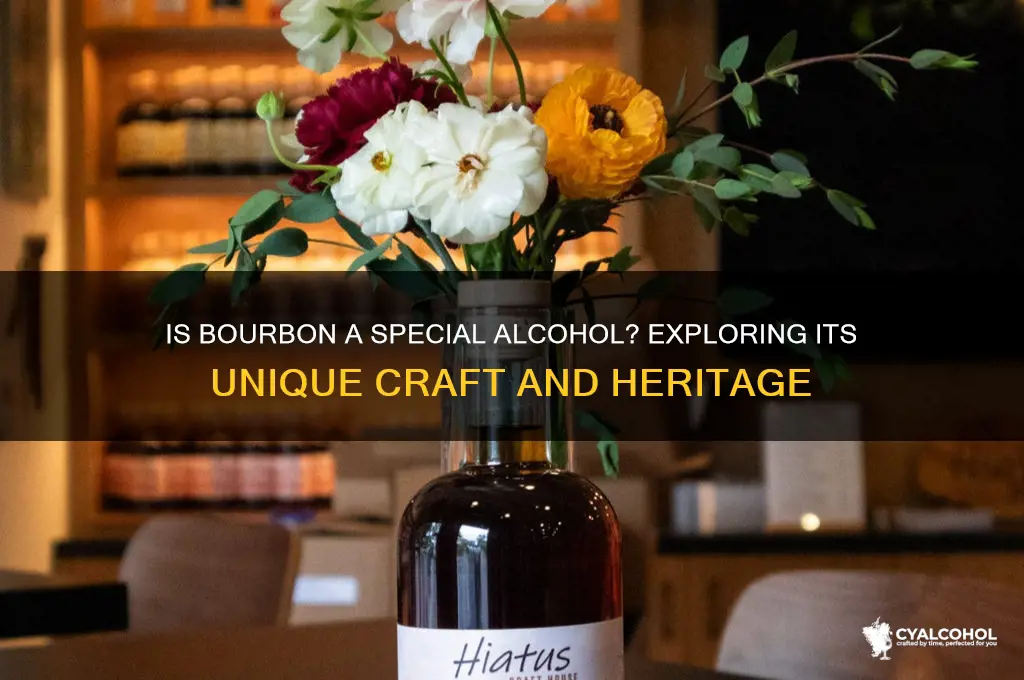 Is Bourbon A Special Alcohol? Exploring Its Unique Craft And Heritage ...