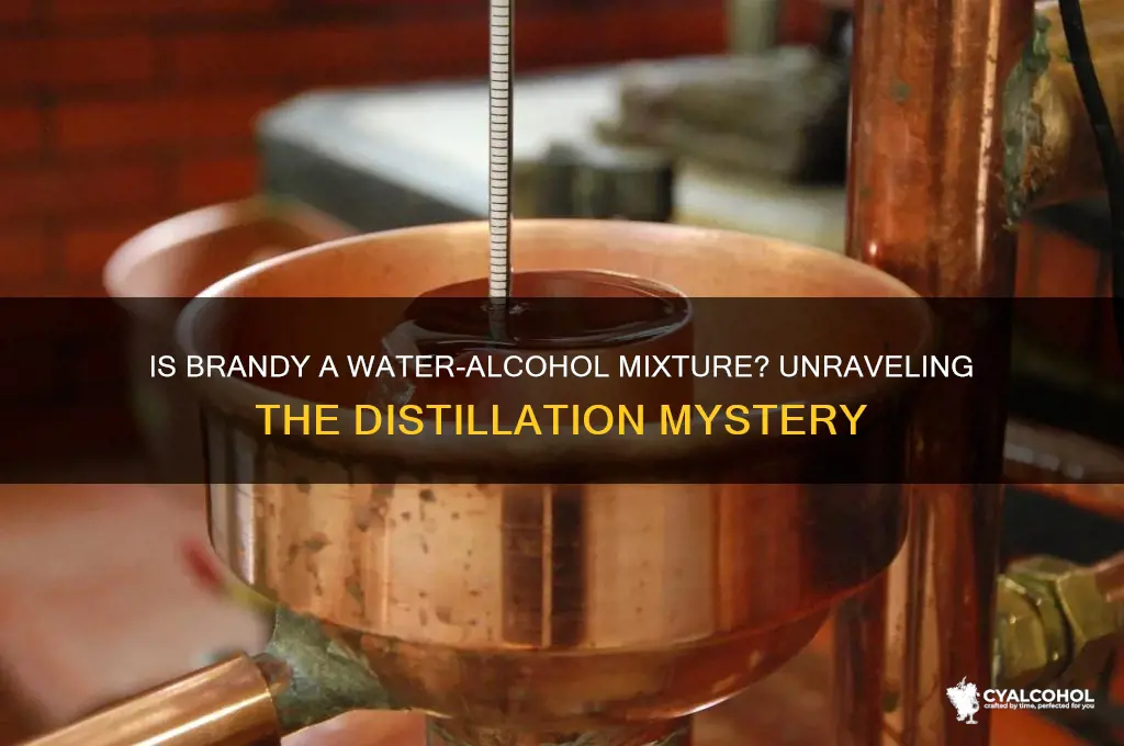 Is Brandy A Water-Alcohol Mixture? Unraveling The Distillation Mystery ...