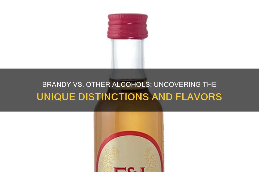 Brandy Vs. Other Alcohols: Uncovering The Unique Distinctions And ...