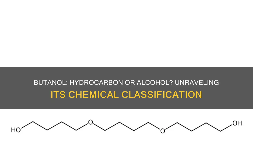 Butanol: Hydrocarbon Or Alcohol? Unraveling Its Chemical Classification ...