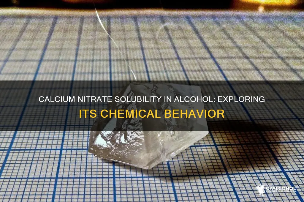 Calcium Nitrate Solubility In Alcohol: Exploring Its Chemical Behavior ...
