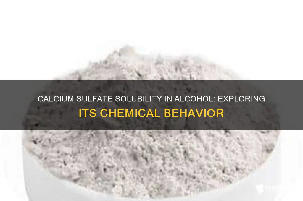 Calcium Sulfate Solubility In Alcohol: Exploring Its Chemical Behavior ...