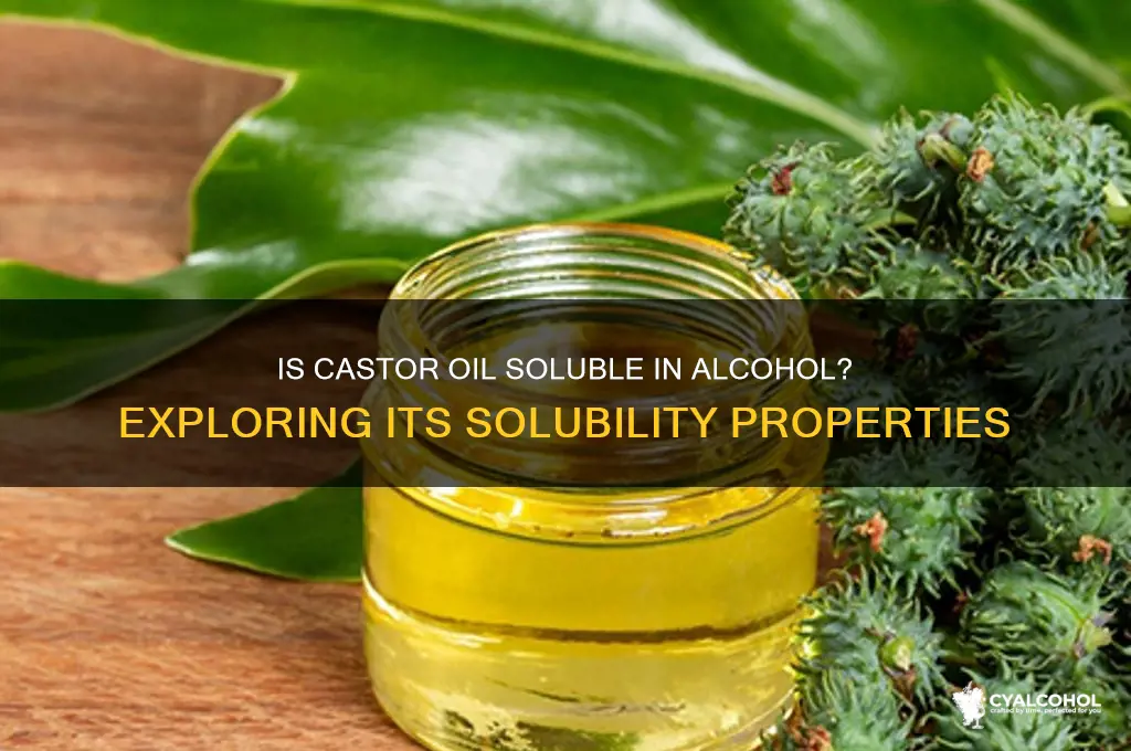 Is Castor Oil Soluble In Alcohol? Exploring Its Solubility Properties ...