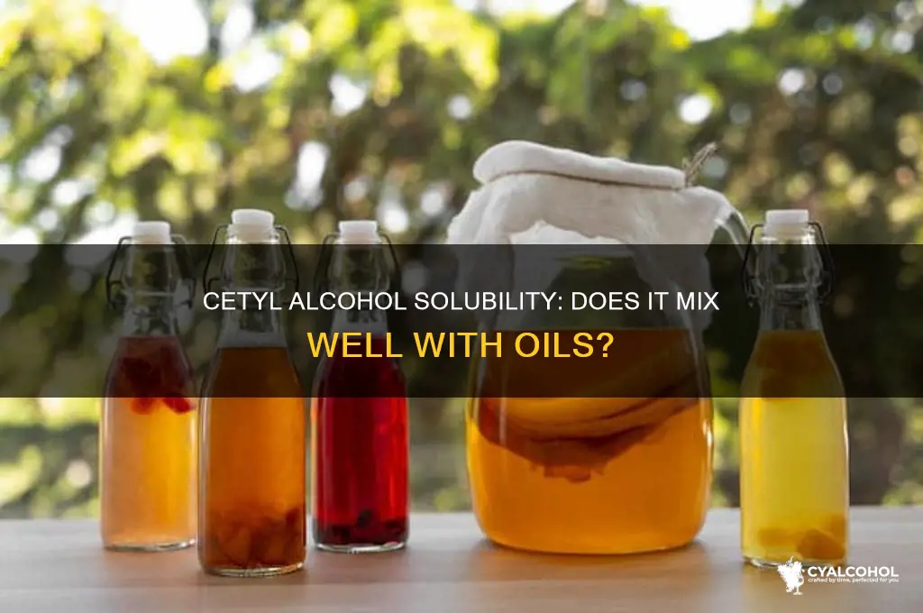 Cetyl Alcohol Solubility: Does It Mix Well With Oils? | CyAlcohol