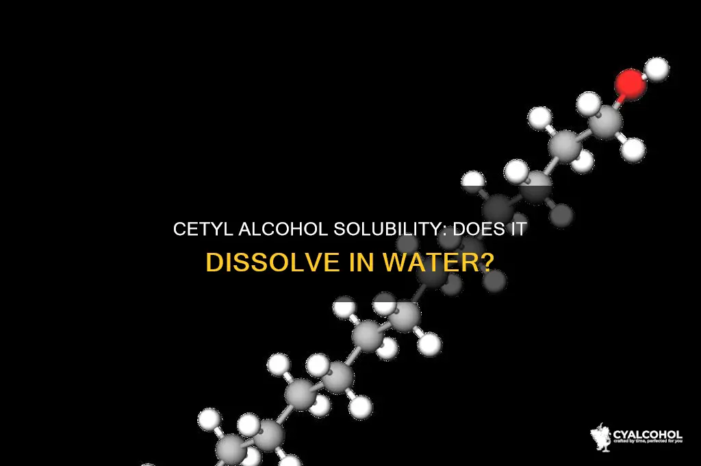 Cetyl Alcohol Solubility: Does It Dissolve In Water? | CyAlcohol