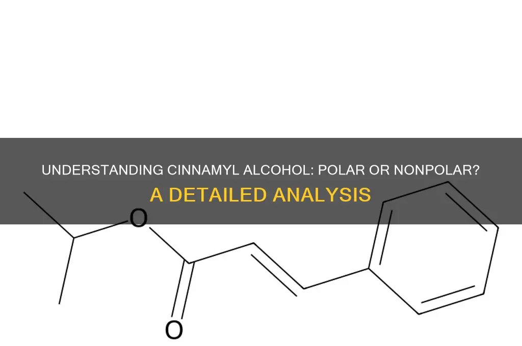 Understanding Cinnamyl Alcohol: Polar Or Nonpolar? A Detailed Analysis ...