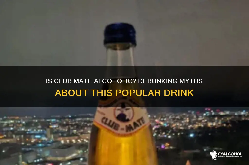 Is Club Mate Alcoholic? Debunking Myths About This Popular Drink ...