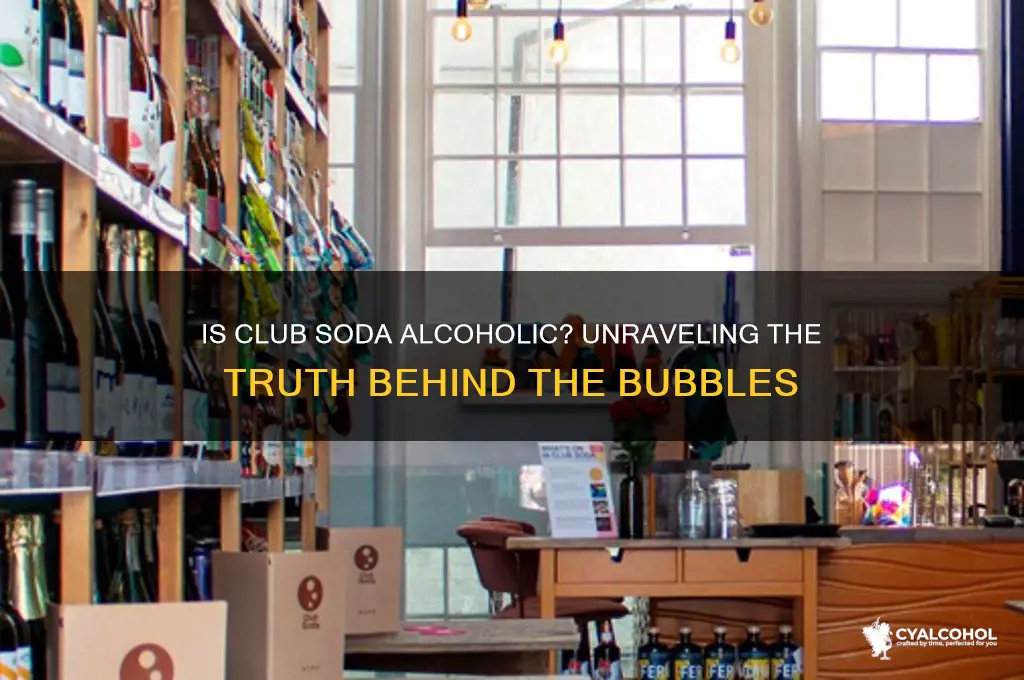 Is Club Soda Alcoholic? Unraveling The Truth Behind The Bubbles | CyAlcohol