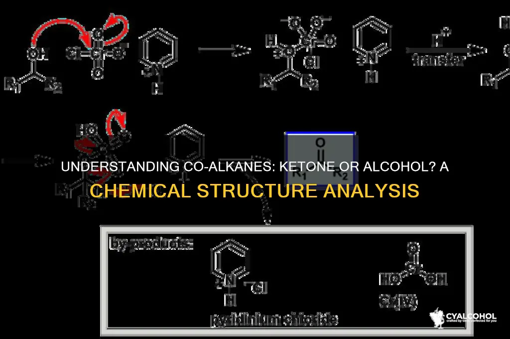 Understanding Co-Alkanes: Ketone Or Alcohol? A Chemical Structure ...