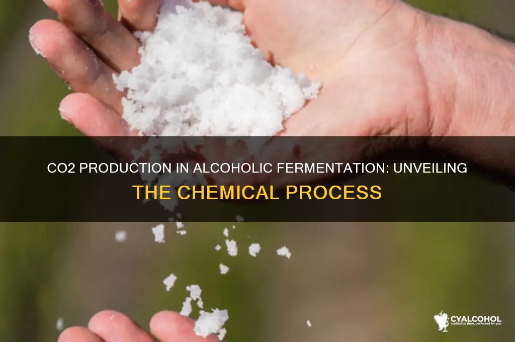 Co2 Production In Alcoholic Fermentation: Unveiling The Chemical ...